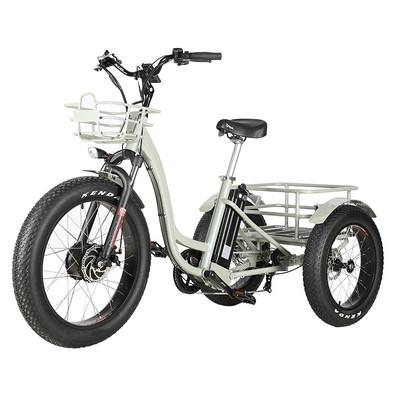 China Thunder Electric Bike 3 Wheel Electric Tricycle 48V 16AH Lithium Battery 25km/h for sale