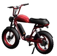 China Thunder Electric Bike TH-V 40 20 Inch Fat Tire E-Bike 300 Lbs Load Capacity 7 Speed for sale