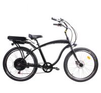China Thunder Electric Bike TH-MX3 Mid Drive Crank Motor E Cycle 48V 20.4Ah Lithium Battery 50-60 Nm Torque for sale
