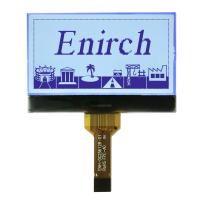 China 256x128 Graphic LCD Module with FSTN Display and 6 O'Clock Viewing Angle for Industrial Control and Medical Devices for sale
