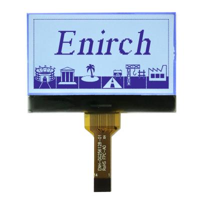 China 256x128 Graphic LCD Module with FSTN Display and 6 O'Clock Viewing Angle for Industrial Control and Medical Devices for sale