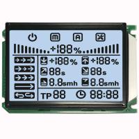 China Color Thermostat Display Custom VA Black Film Segment LCD COG Module Black White Screen for sale