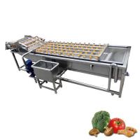 China 2000kg/H Bubble Brush Citrus Fruit And Vegetable Washing Machine Hotels for sale