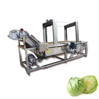 China 2000kg/H Bubble Brush Citrus Fruit And Vegetable Washing Machine Hotels for sale