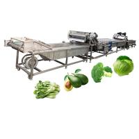 China Bubble Peeling Brush Vegetable Washing Machine 300-500kg/H For Carrot Cassava Apple for sale