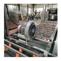 China Bubble Peeling Brush Vegetable Washing Machine 300-500kg/H For Carrot Cassava Apple for sale