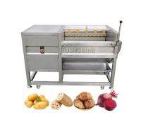 China Industrial 500kg/h Potato Ginger Roller Washer Brush Peeling Machine Easy to Operate for sale