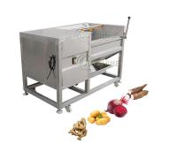 China Industrial 500kg/h Potato Ginger Roller Washer Brush Peeling Machine Easy to Operate for sale