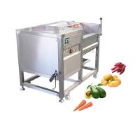 China Industrial 500kg/h Potato Ginger Roller Washer Brush Peeling Machine Easy to Operate for sale