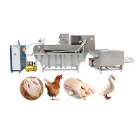 China High Productivity Steam Chicken Slaughtering Machine for Customizable Halal Poultry for sale