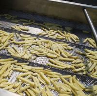 China SUS304 Material Potato Chips French Fries Machine for Holland Turkey Production Line for sale