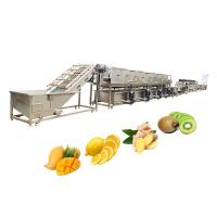 China OEM/ODM Bubble Washing Line Cleaning Machine For Vegetables Fruits Mushrooms for sale