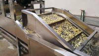 China 58 kw Power Joyshine Full Automatic French Fries Making Machine for 300 KG Production for sale