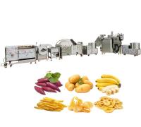 China Customized Semi Automatic 100kg Per Hour Frozen French Fries Processing Plant Production Line for Output for sale