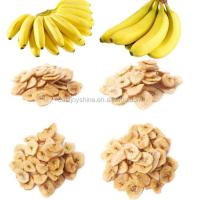 China 100kg 200kg 300kg Banana Chips Making Machines 20kg/H 50kg/H 100kg/H for sale