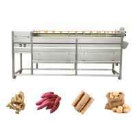 China Stainless Steel Brush Roller Electric Potato Peeler Machine 9pcs Rollers 380v Voltage for sale