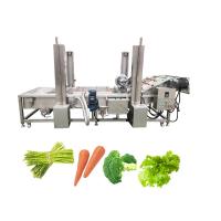 China 380v/220v/Customizable Cassava Bubble Washing Machine for Washing Fruit Vegetable for sale