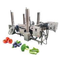 China 380v/220v/Customizable Cassava Bubble Washing Machine for Washing Fruit Vegetable for sale