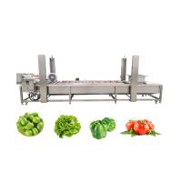 China 380v/220v/Customizable Cassava Bubble Washing Machine for Washing Fruit Vegetable for sale