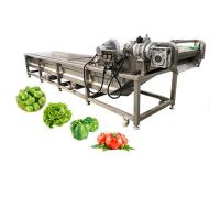 China Automatic Vegetable Washing Machine for Food Beverage Shops and Meat Processing Plants for sale