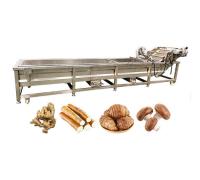 China Automatic Vegetable Washing Machine for Food Beverage Shops and Meat Processing Plants for sale