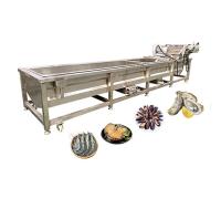 China Automatic Vegetable Washing Machine for Food Beverage Shops and Meat Processing Plants for sale
