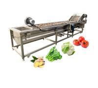 China Automatic Vegetable Washing Machine for Food Beverage Shops and Meat Processing Plants for sale