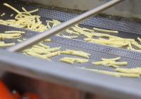 China 480 KG Baked Potato Chips Machine Chopper for Frying Snack Food and Chicken Meat for sale