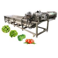 China 500kg/h Conveyor Belt Fruit Vegetable Bubble Washer Machine for Farm Orchard in Australia for sale