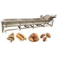 China 500kg/h Conveyor Belt Fruit Vegetable Bubble Washer Machine for Farm Orchard in Australia for sale