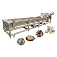 China 500kg/h Conveyor Belt Fruit Vegetable Bubble Washer Machine for Farm Orchard in Australia for sale