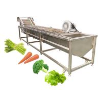 China 500kg/h Conveyor Belt Fruit Vegetable Bubble Washer Machine for Farm Orchard in Australia for sale
