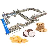 China Fully Automatic Industrial Frozen French Fries Production Line for Custom Requirements for sale