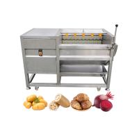China 220V/380V Industrial Fruit Vegetable Brush Potato Carrot Peeler Machine from Direct for sale