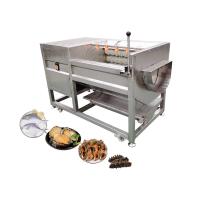 China 220V/380V Industrial Fruit Vegetable Brush Potato Carrot Peeler Machine from Direct for sale