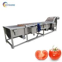 China Small Scale Automatic Vegetable Bubble Washing and Sorting Machine with Long Service Life for sale