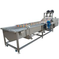 China 1500kg/H Food Beverage Shops Industrial Vegetable Washing Machine For Date Lemon Olive Nutmeg for sale