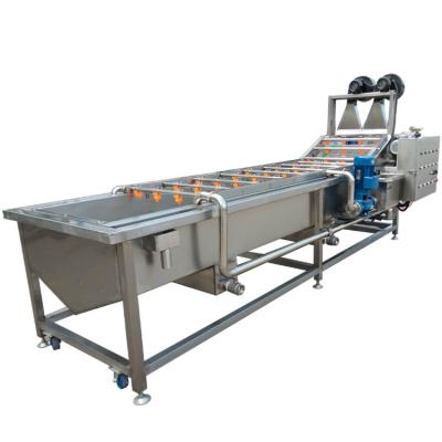 China 1500kg/H Food Beverage Shops Industrial Vegetable Washing Machine For Date Lemon Olive Nutmeg for sale
