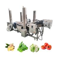 China Water Saving Vegetable Seed Cleaning Peeling Machine 2500*1200*1300mm for Fruit Washing for sale