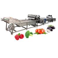 China High Pressure Washing Joyshine Bubble Hash Washing Machine for Vegetable Processing Plant for sale