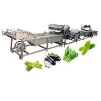 China High Pressure Washing Joyshine Bubble Hash Washing Machine for Vegetable Processing Plant for sale