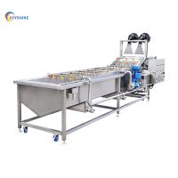 China Small Scale Mango Dragon Fruit Vegetable Bubble Washing Machine for Shandong Supply for sale