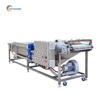 China 9.4kw 220v 380v Potato Vegetable Coriander Bubble Washer Machine 2000kg/H for sale