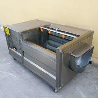 China Joyshine Potato Cleaner Machine SUS304 Pumpkin Washing Machine Tomato Washing Machine for sale