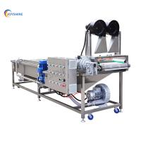 China 500kg Avocado Fruit Washing Waxing Sorting Machine Vegetable Cleaning Processing Line for sale