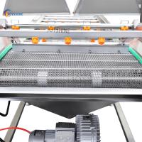 China 500kg Avocado Fruit Washing Waxing Sorting Machine Vegetable Cleaning Processing Line for sale