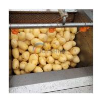 China 1.5kw Carrot Peeler Machine for Automatic Washing and Peeling of Root Vegetables for sale