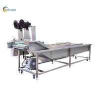 China Small Scale Mango Dragon Fruit Vegetable Bubble Washing Machine for Shandong Supply for sale