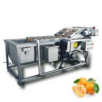 China Customizable Vegetable and Fruit Washing Waxing Drying Machine for Your Requirement for sale