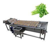China Customizable Vegetable and Fruit Washing Waxing Drying Machine for Your Requirement for sale